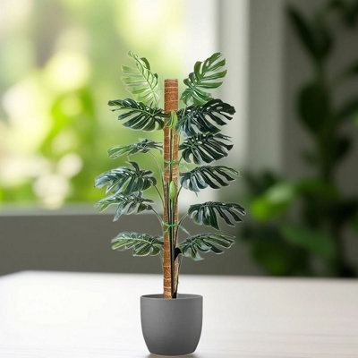 4x Coco Fibre Moss Pole Climbing Plant Support Cane Non Extendable 60cm