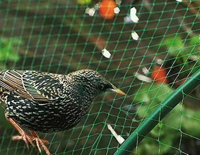 4x10m Anti Bird Garden Netting Fine Mesh Plant Fruit Protection Net