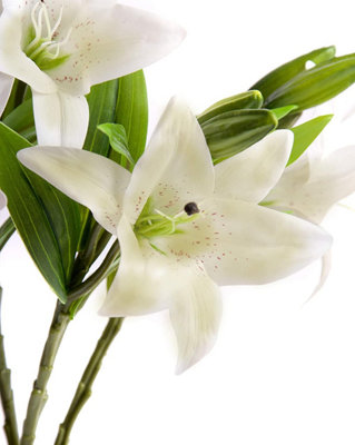 5 Best Artificial 35cm Ivory Tiger Lillies
