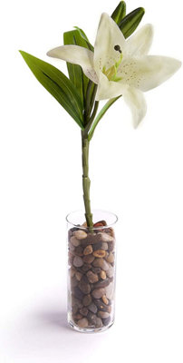 5 Best Artificial 35cm Ivory Tiger Lillies