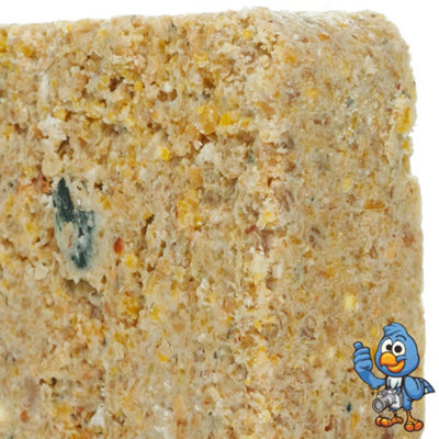 5 X BUSYBEAKS MEALWORM SUET FAT BLOCKS - PREMIUM GRADE HIGH PROTEIN ...
