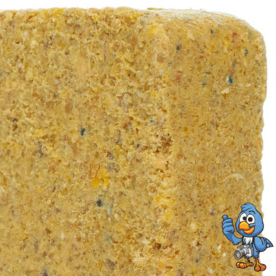 5 x BusyBeaks Worm & Insect Suet Fat Blocks - Premium Grade High ...