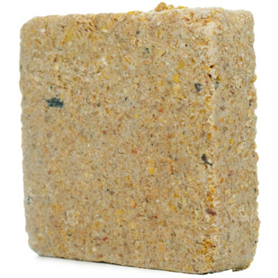 5 x SQUAWK Sunflower Heart Suet Fat Blocks - High Energy Wild Bird Food ...