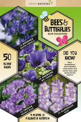 Buy 50 Bee & Butterfly Summer Bulb Collection Blue Bulb Varieties Eco ...