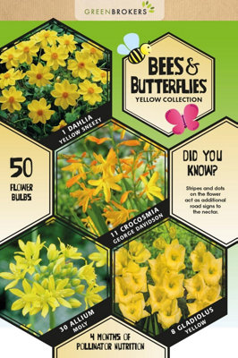 50 Bee & Butterfly Summer Bulb Collection Yellow Bulb Varieties Eco ...