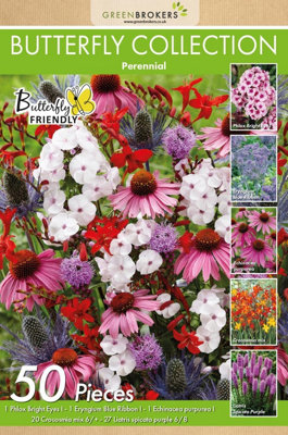 50 Butterfly Perennial Summer Bulb Collection Mixed Bulb Varieties Eco ...