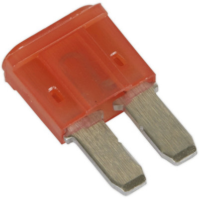 50 PACK 10A Automotive Micro 2 Blade Fuse Pack - 2 Prong Vehicle ...