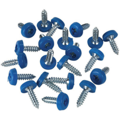 50 PACK 4.8 x 18mm Blue Numberplate Screw - Plastic Enclosed Head ...