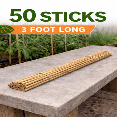 50 Pack Natural Bamboo Garden Canes Strong Plant Support Sticks 91.5cm