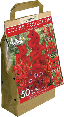 50 Red Summer Flowering Bulbs - Mixed Varieties, Bee & Butterfly ...