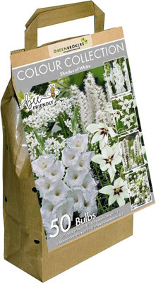 50 White Summer Flowering Bulbs - Mixed Varieties, Bee & Butterfly ...