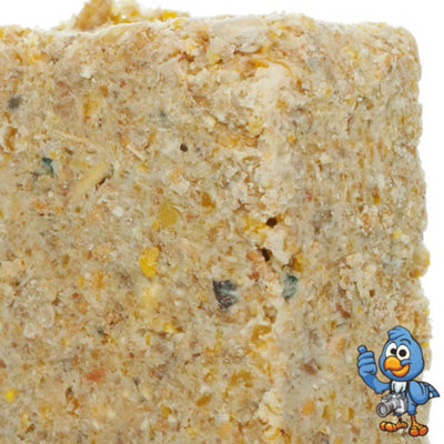 50 x BusyBeaks Sunfower Heart Suet Fat Blocks - Premium Grade High ...