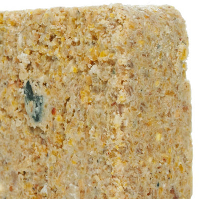 50 X SQUAWK MEALWORM SUET FAT BLOCKS - HIGH ENERGY WILD BIRD FOOD ...