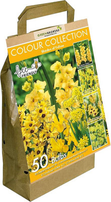 50 Yellow Summer Flowering Bulbs - Mixed Varieties, Bee & Butterfly ...