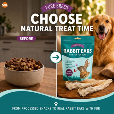 500g Air-Dried Beef Liver for Dogs Treats Natural 10x In Resealable 50g ...