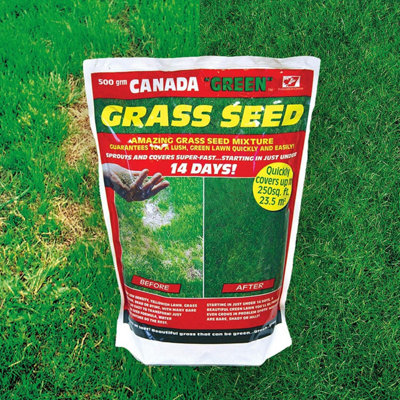 500g Canada Green Grass Seed, Fast-Growing, All-Weather, Covers 23.5m²
