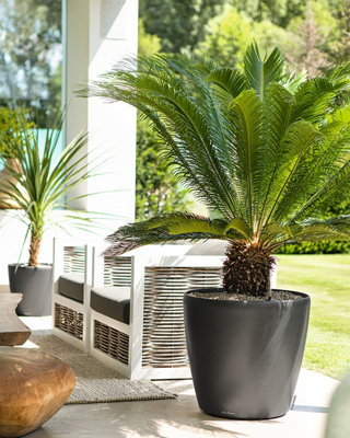 50cm Large Plant Pot for Trees, Charcoal Grey Metallic Plastic Self ...