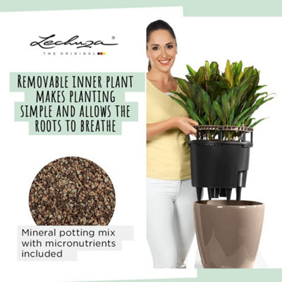 50cm Large Plant Pot for Trees, Charcoal Grey Metallic Plastic Self-watering Planter LECHUZA ...