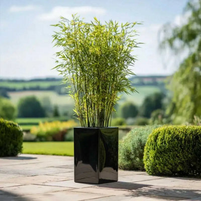 50cm Zinc Platinum Black Tall Square Planter