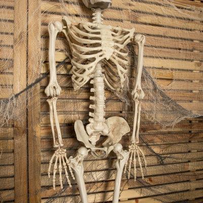 5ft (150cm) Posable Full Body Halloween Skeleton Decoration with ...