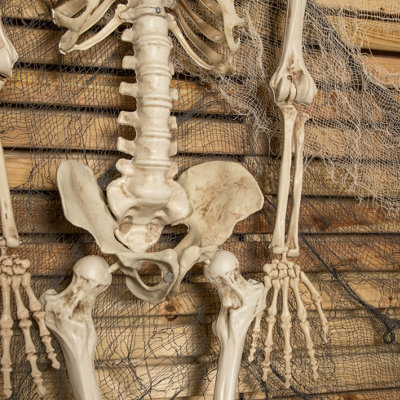 5ft (150cm) Posable Full Body Halloween Skeleton Decoration with ...