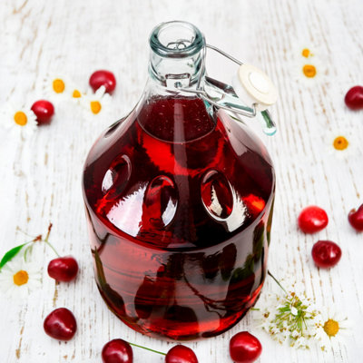 5L DEMIJOHN CARBOY Flip Top Screw Cap Bung Home Brewing Wine Cider ...