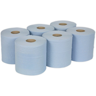 6 Pack of 150m Blue 2-Ply Embossed Perforated Paper Roll Wipes
