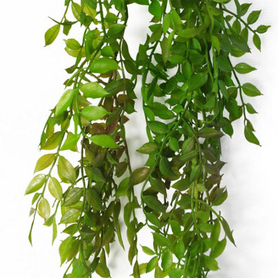 6 x 100cm Hanging String of Pearls Fern Plant Dark Green | DIY at B&Q