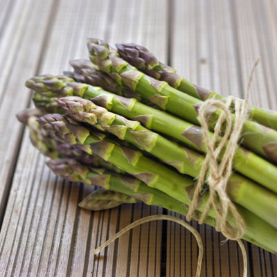 6 x Asparagus Crown Backlim Roots for Planting - Premium Quality ...