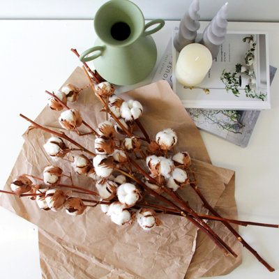 6 x Natural Dried Cotton Stems - Approx. 60cm in Height - Dried Flowers ...