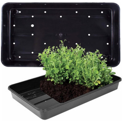 6 x Plastic Heavy Duty Seed Trays With Strong Rim For Extra Rigidity ...