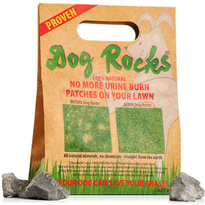 600g Dog Rocks - Natural solution to pet urine burning grass