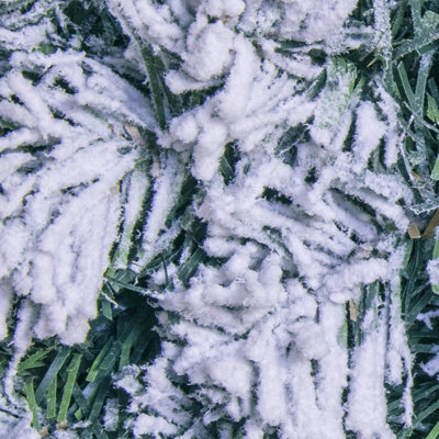 60cm Flocked Extra Wide Arbor Vitae Wreath