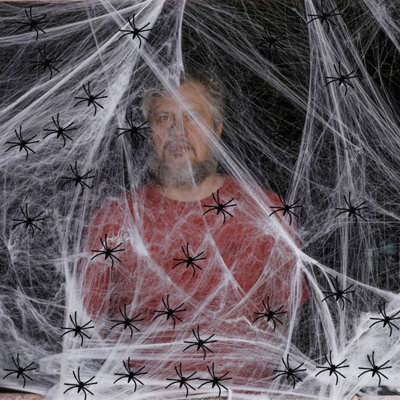 60g Halloween Spider Web Decorations, with 30pcs Fake Spiders ...