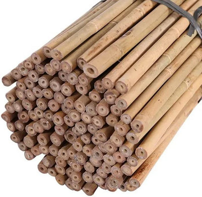 6ft Bamboo Plant Support Pack of 10 Garden Canes | DIY at B&Q