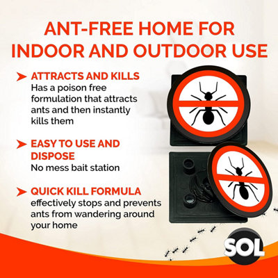 Ants killer indoor store