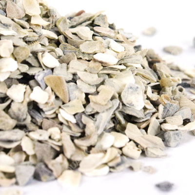 7.5kg SQUAWK Hen Sized Oyster Shell - Chicken Hen Poultry Nutritious ...