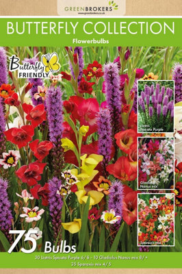 75 Butterfly Summer Bulb Collection Mixed Bulb Varieties Eco Packaging ...