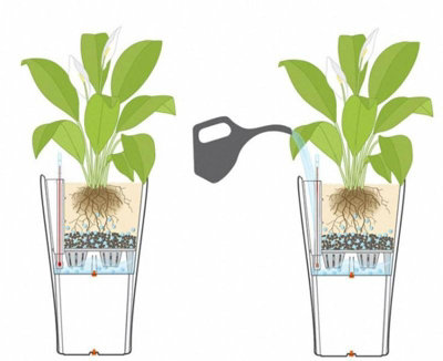 75cm Tall Planter, Dark Grey Plastic Self-watering Planter with Water ...