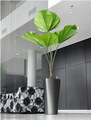 75cm Tall Planter, Dark Grey Plastic Self-watering Planter with Water ...