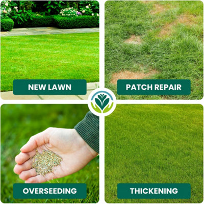 75KG Gardener's Dream Horse Paddock Grass Seed - Fine-Blade, Durable ...
