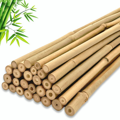 7ft Bamboo Canes 100 Pack Garden Plant Support Sticks Natural Growing ...