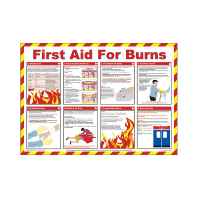 Products | Pegdev - Pdl - First Aid Laminated Health & Safety Poster ...