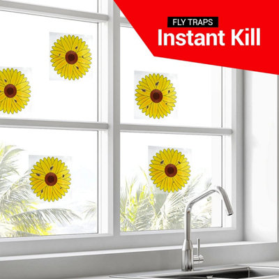 Sunflower fly catcher store