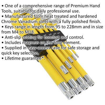 9 Piece Jumbo Spline Key Set - M4 to M18 Sizes - 95 to 228mm Length ...