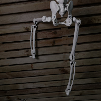 90cm (3ft) Posable Full Body Halloween Skeleton Decoration with Movable ...