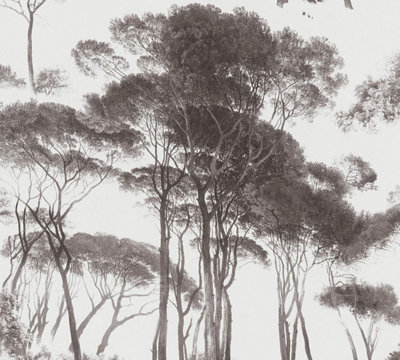 A.S. Création Forest Wallpaper History of Arts Non-Woven Wallpaper ...