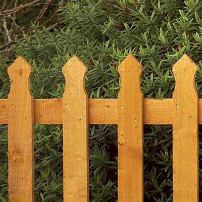 AAMEN 3 x 3ft Garden Palisade Tulip Gate