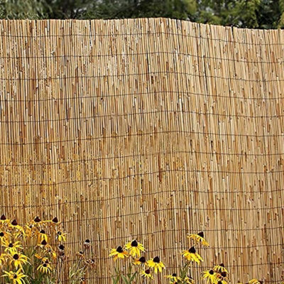 Abaseen 1.5m x 3m Extra Thick Natural Peeled Reed Fence, Garden ...