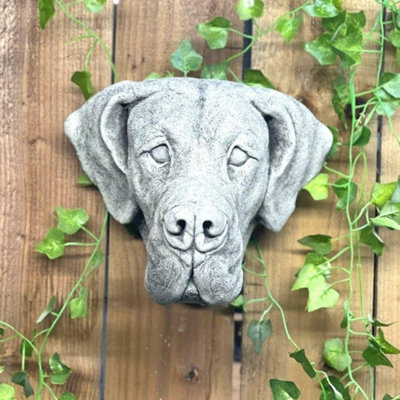 Adorable Great Dane Head Stone Wall Plaque | DIY at B&Q